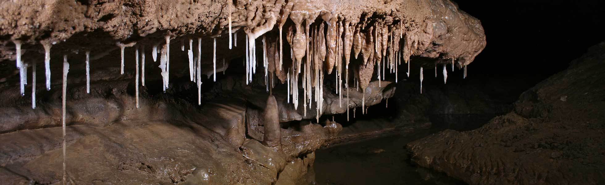 History - Indiana Caverns