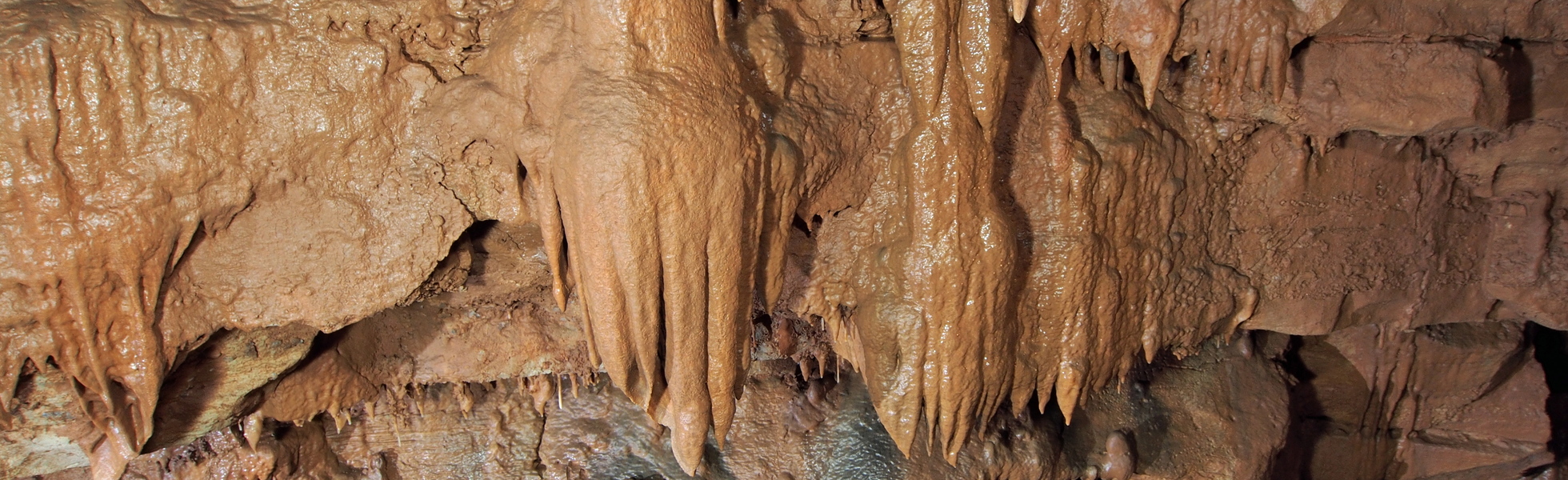 Indiana Caverns, Indiana's Longest Cave